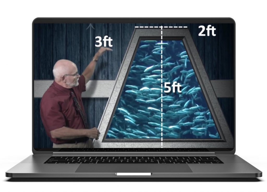 Browse Online Homeschool Courses | Power Homeschool