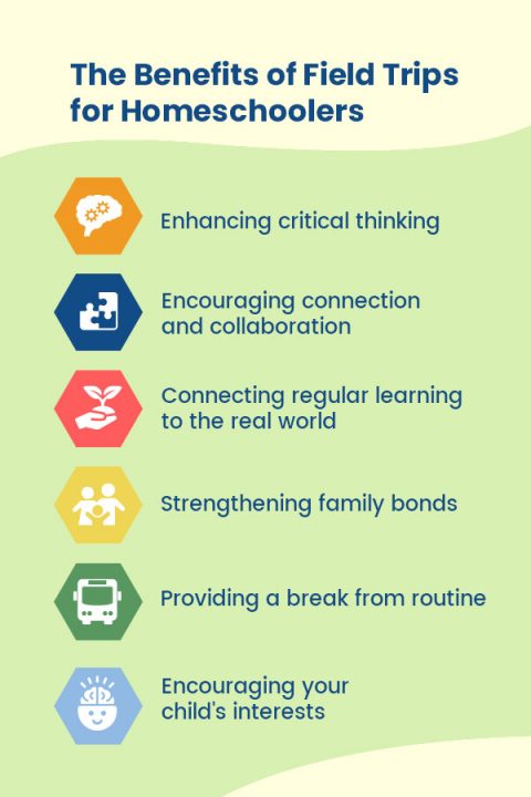 A Guide to Field Trips for Homeschoolers | Power Homeschool