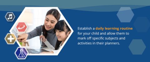 Choosing the Best Curriculum for the Logical Learning Style