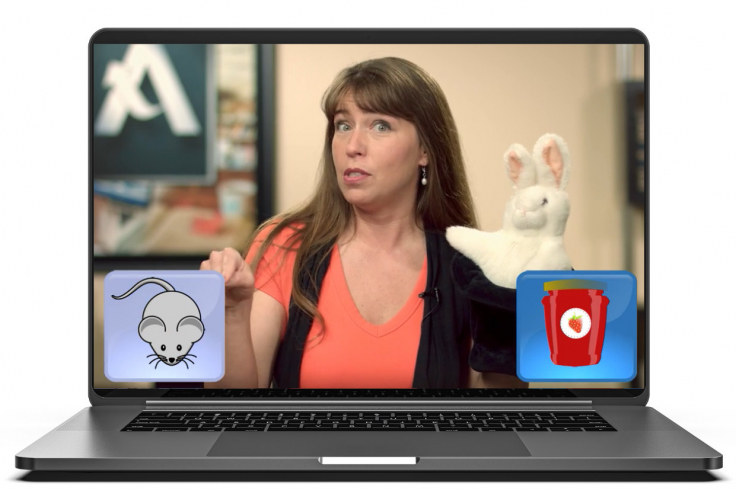 Online Elementary Program Overview | Power Homeschool