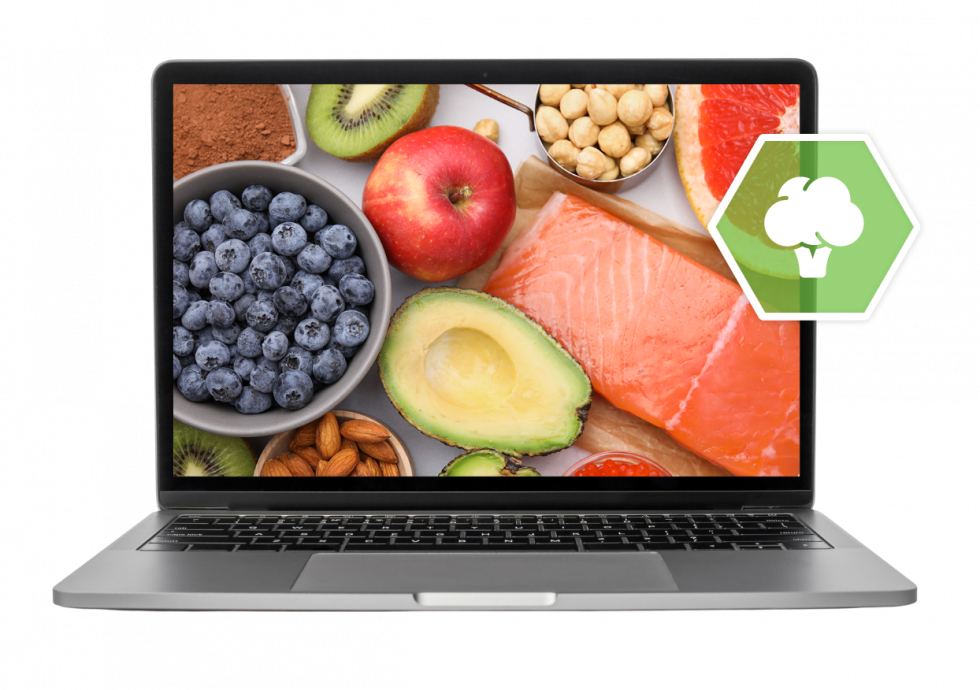 Health | Power Homeschool